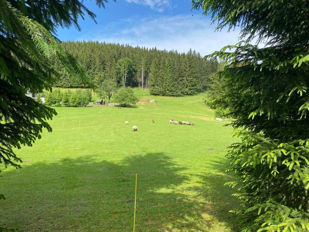 Biala Perla Sunny Mountain 601, Sienna – Updated 2024 Prices