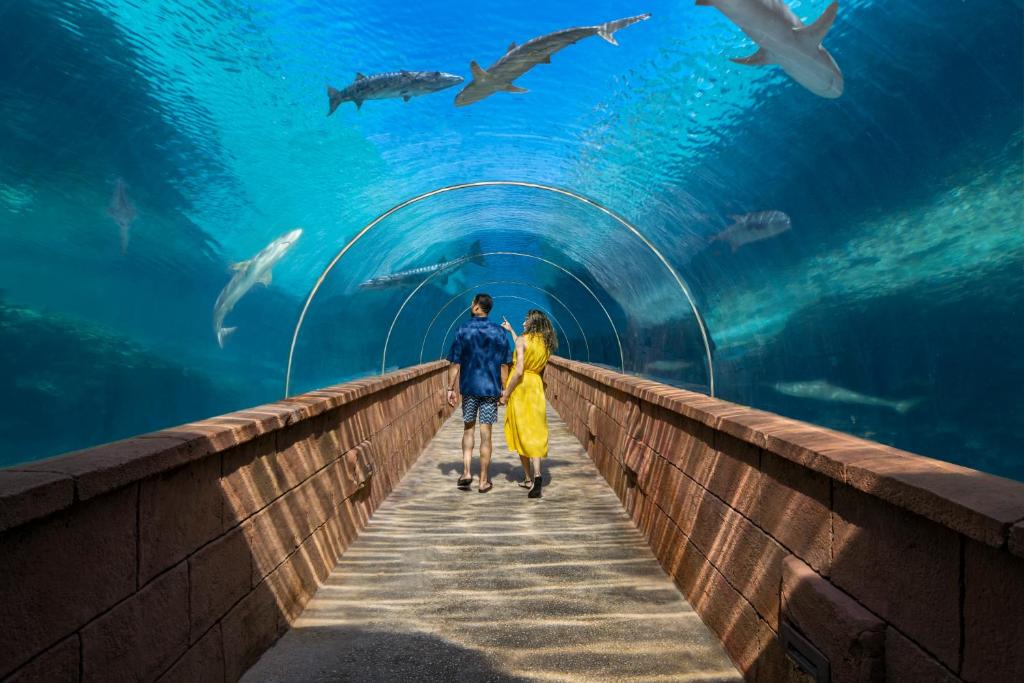 The Coral at Atlantis, Nassau (updated prices 2025)