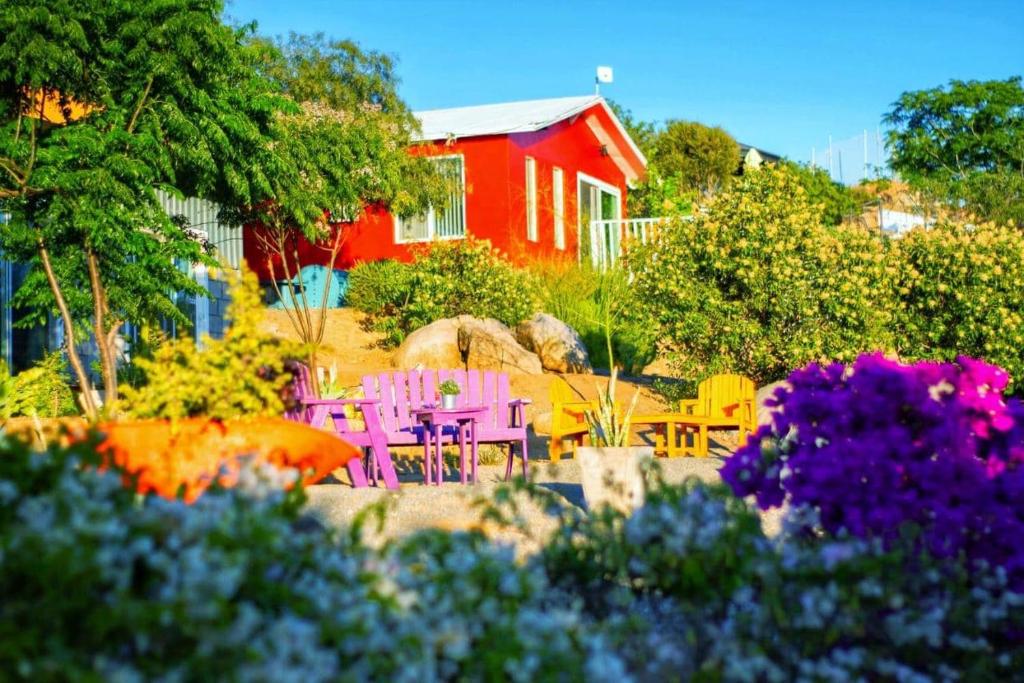 Rancho Matalote - Olivares mexicanos