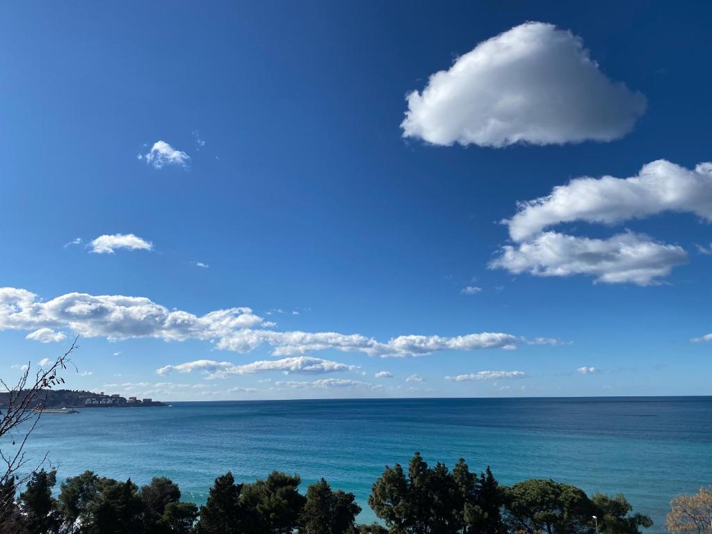 Vila Sabo, Bar (aktualisierte Preise für 2025)