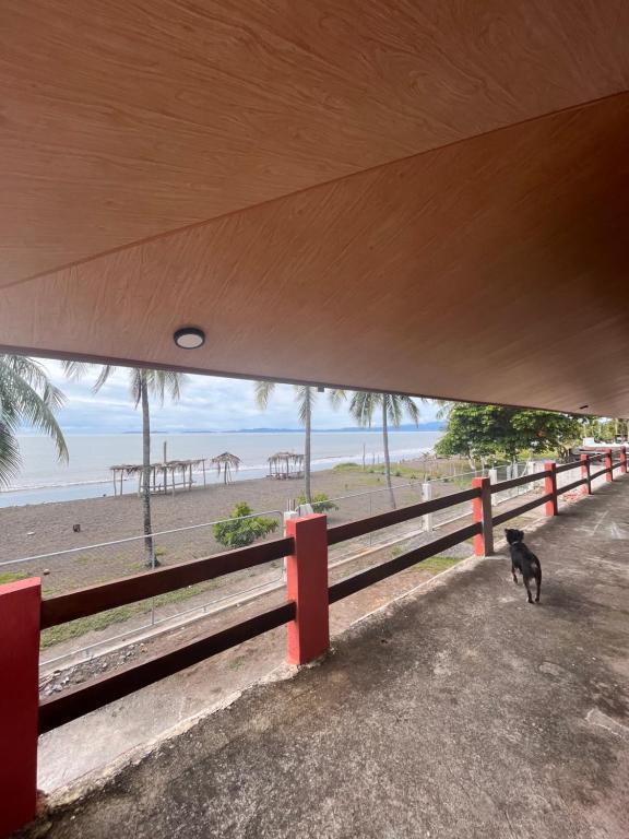 Hotel La Roca del Mar, Puntarenas (precios actualizados 2024)