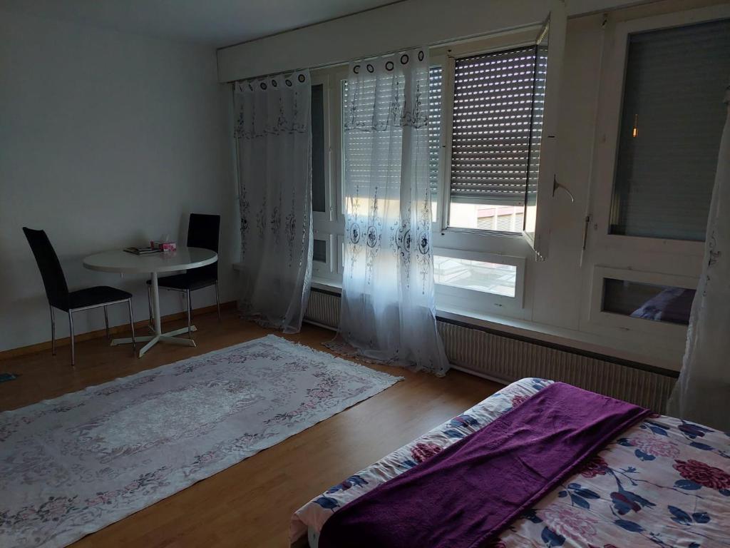 Kleine Apartment im Zentrum Bern - Bern