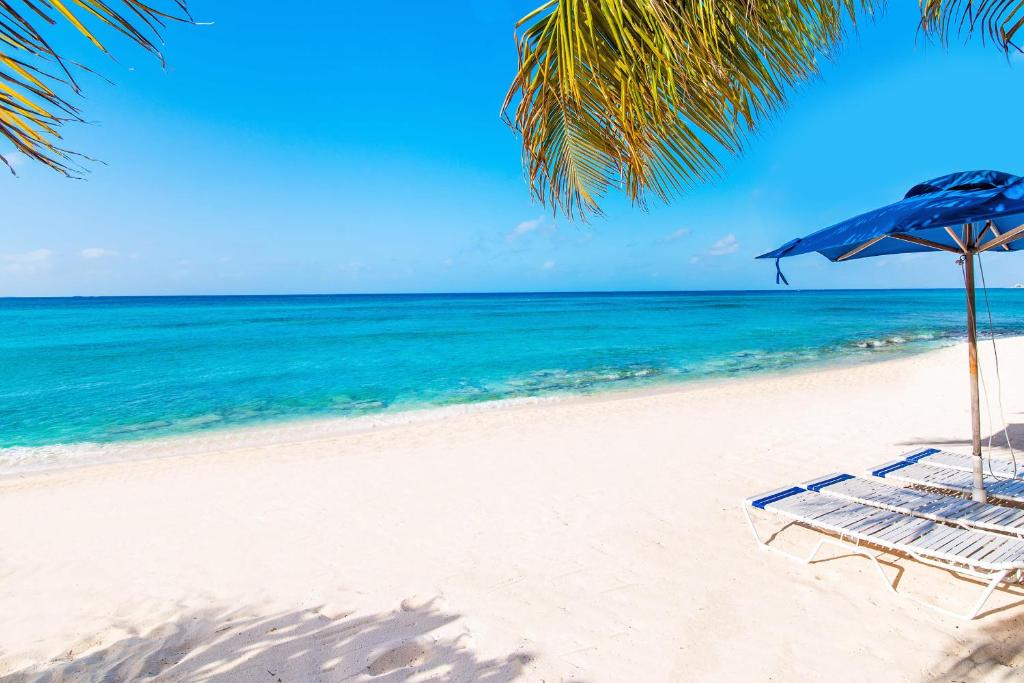 Beach Living at Discovery Point Club, West Bay (updated prices 2024)