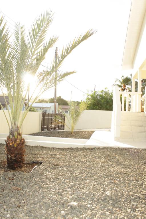 Charming 2 Br Home With A Beautiful Private Patio - Curaçao