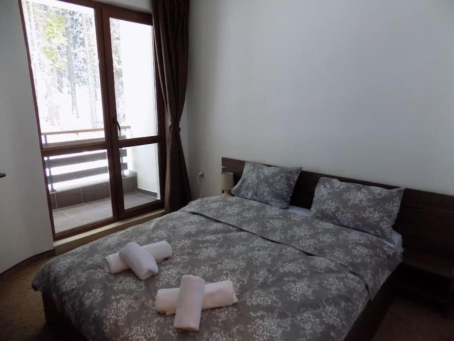 Forest place, Pamporovo – Updated 2023 Prices