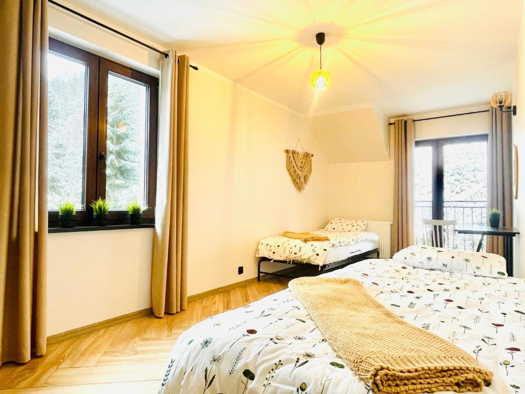 GÓRSKA CISZA - Duży, komfortowy, wyjątkowy Apartament, Stronie Śląskie ...