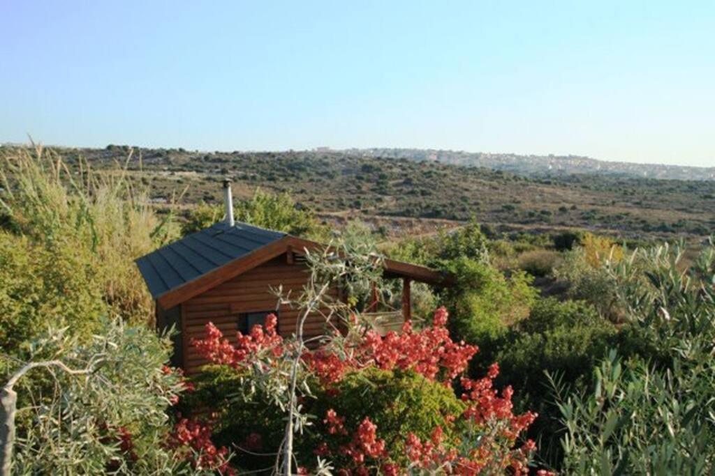 בית קטן בטבע -בין חרוב לזית, Clil (updated prices 2024)