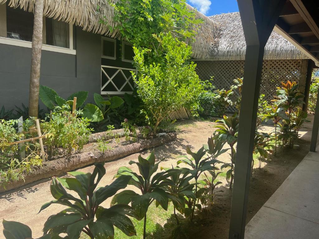 Club Raro Resort- Adults Only, Rarotonga (updated prices 2025)