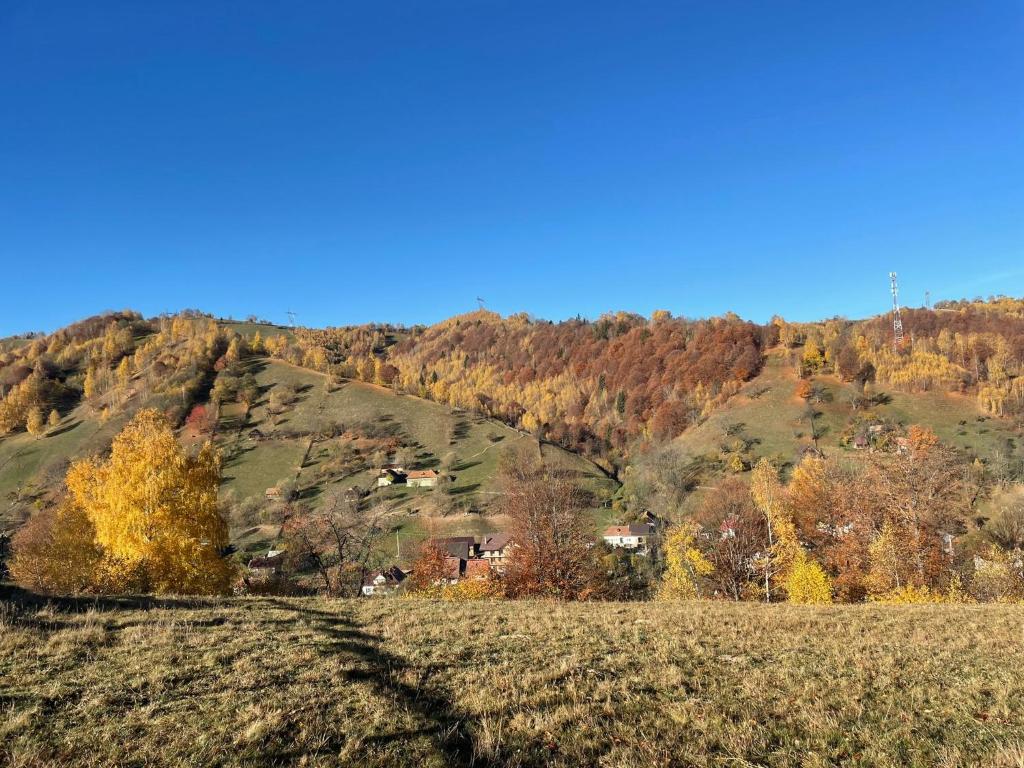 Bran Place La Odaie, Şimon (updated prices 2025)