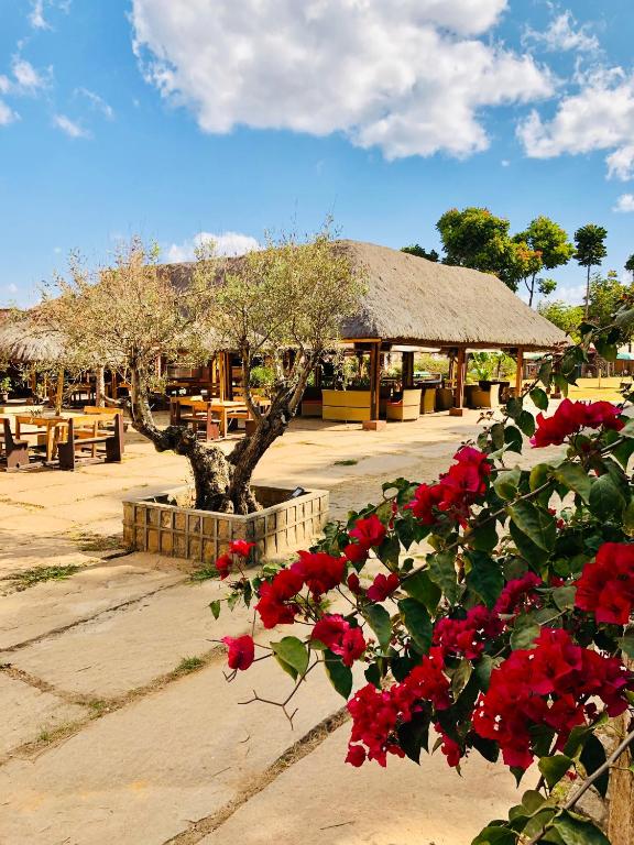 Le Chat'o Park Hotel Ivato Airport NAVETTE GRATUITE H24, Antananarivo ...