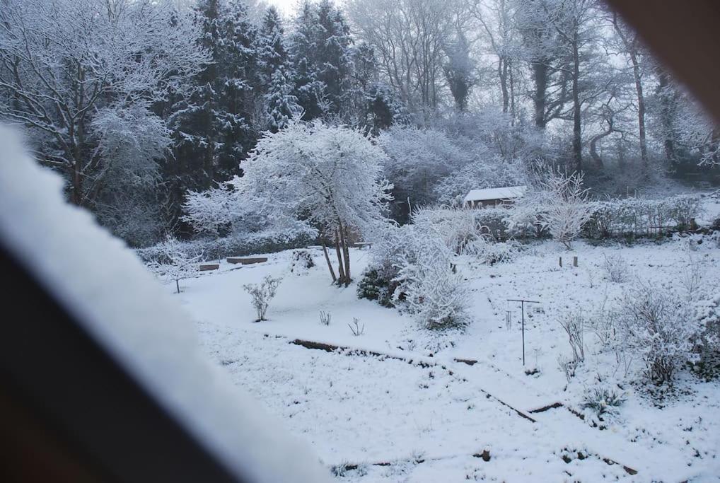The Hen Den, Hopton Cangeford – Updated 2023 Prices