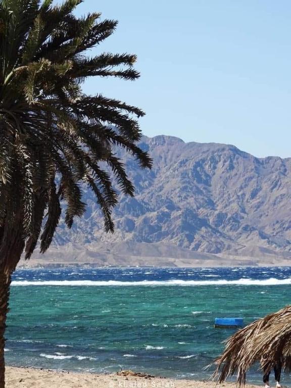 Villa sarda Green, Dahab (updated prices 2026)