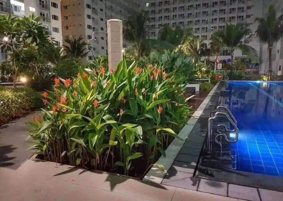 simple and affordable staycation, Manila – Updated 2024 Prices