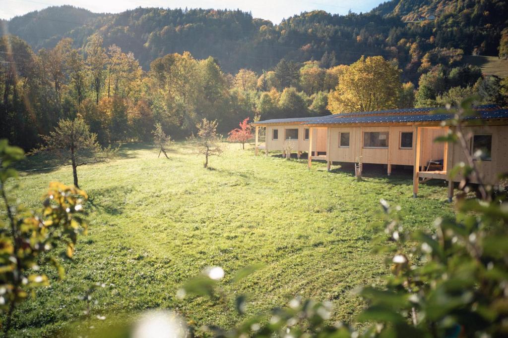 Pinjola, Vandans (prezzi aggiornati per il 2024)