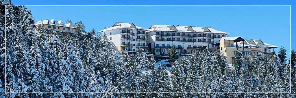 Taj Theog Resort & Spa Shimla, Shimla – Updated 2023 Prices