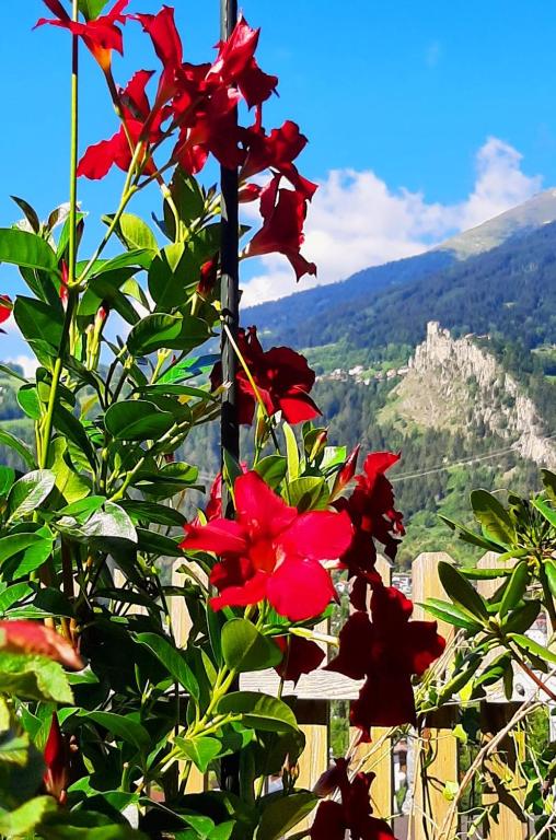 Burg Laudegg Blick, Faggen (aktualisierte Preise für 2026)