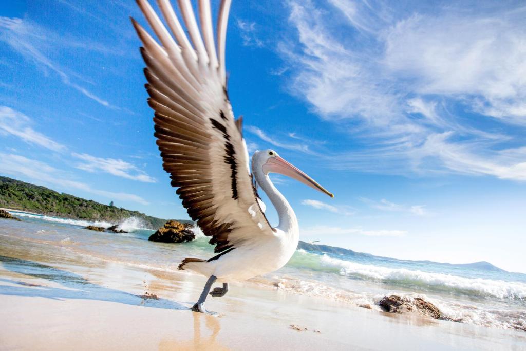 Reflections Seal Rocks - Holiday Park, Smiths Lake (updated prices 2025)