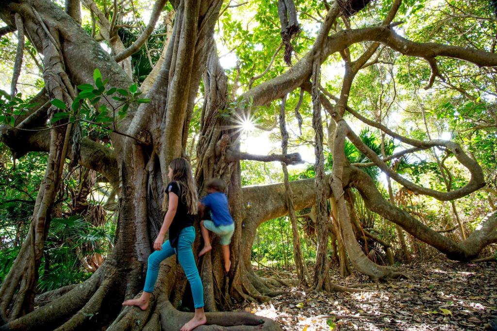 Reflections Seal Rocks - Holiday Park, Smiths Lake (updated prices 2025)