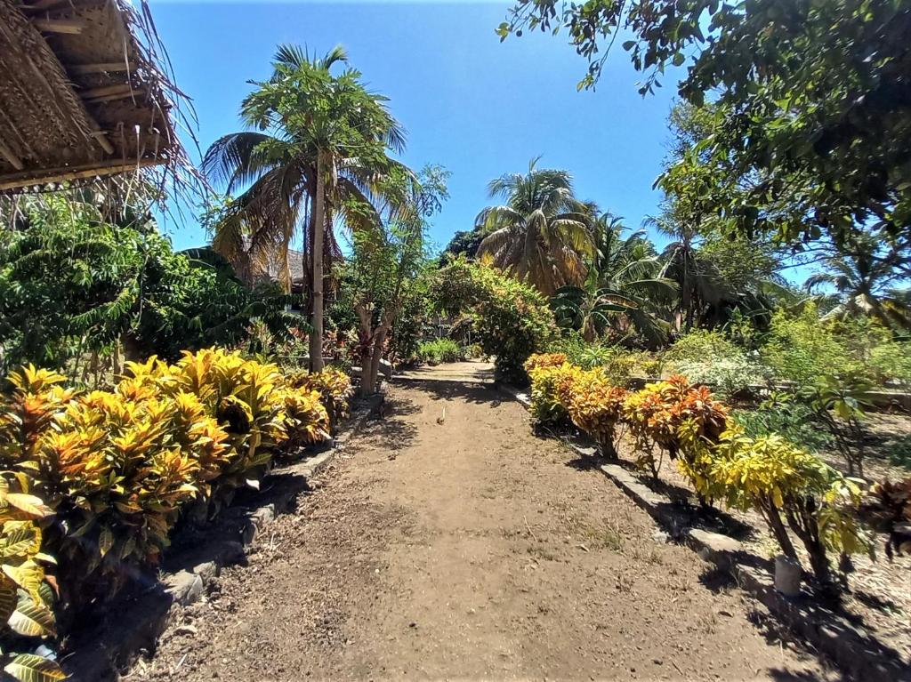 Moheli Laka Lodge, Mohéli (updated prices 2025)