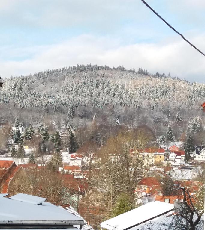 Haus Lisa, Zella-Mehlis (updated prices 2025)