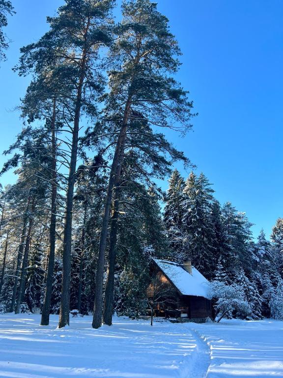 Rojaus Slenis, Druskininkai – Updated 2022 Prices