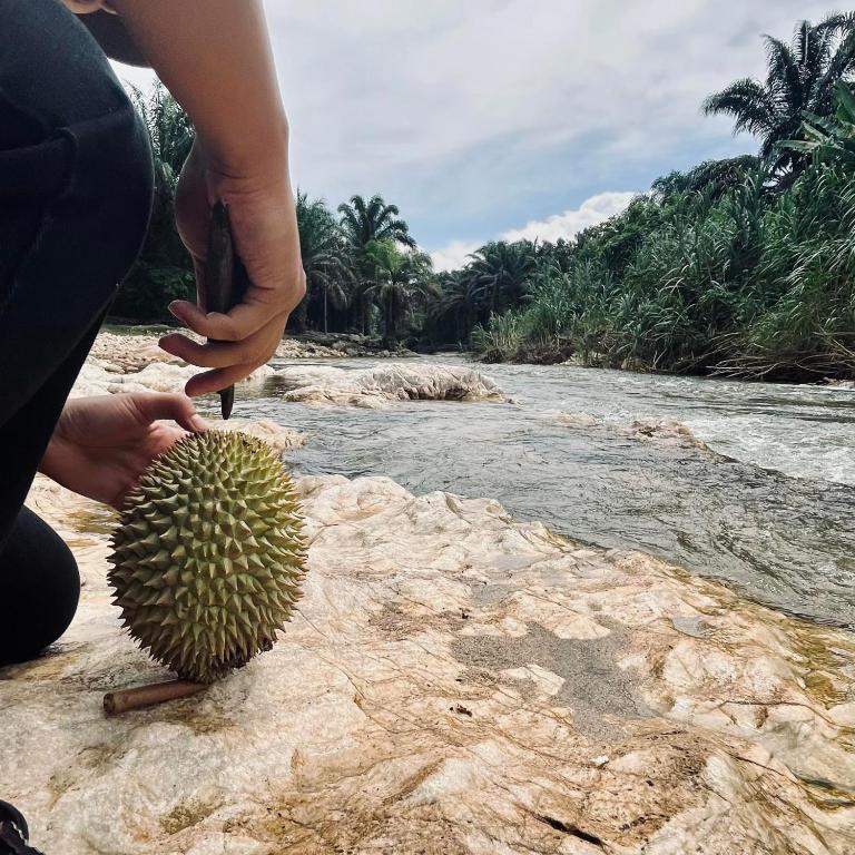 Sahom Valley Resort - Agro & Eco Park, Kampar (updated prices 2025)
