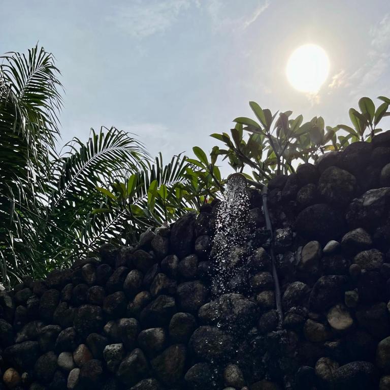 Sahom Valley Resort - Agro & Eco Park, Kampar (updated prices 2025)
