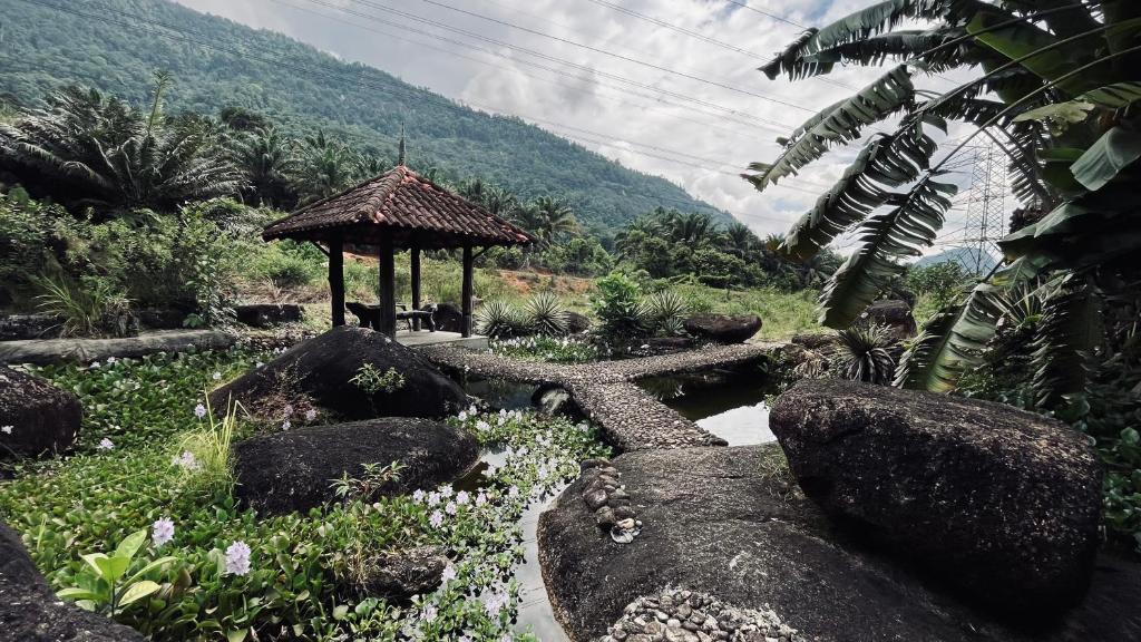 Sahom Valley Resort - Agro & Eco Park, Kampar (updated prices 2025)
