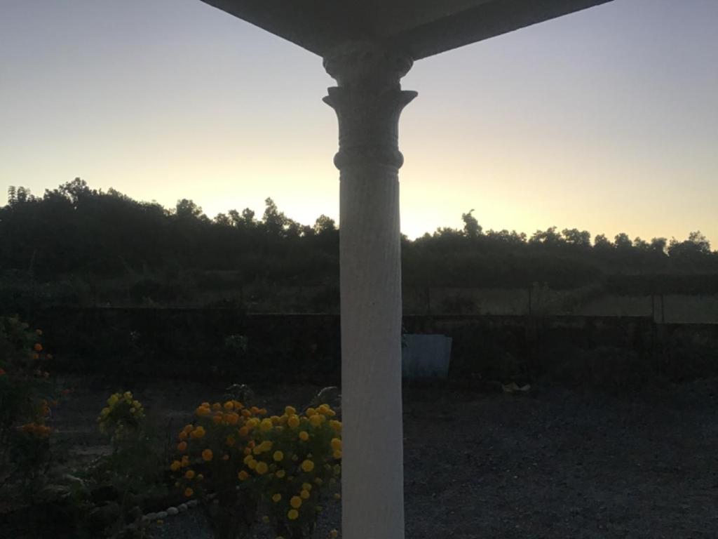 PRITHVI FOREST HOMESTAY, Dehradun, India - Booking.com