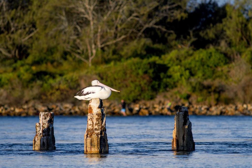 Reflections Urunga - Holiday Park, Urunga (updated prices 2025)