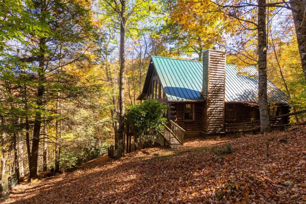 Bear Necessities, Banner Elk (updated prices 2025)