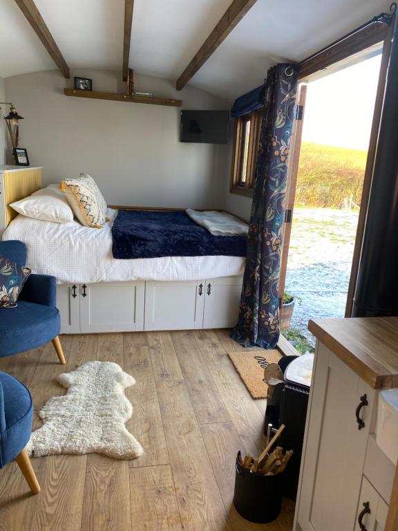 Silver Fern Glamping, Aberystwyth – Updated 2023 Prices
