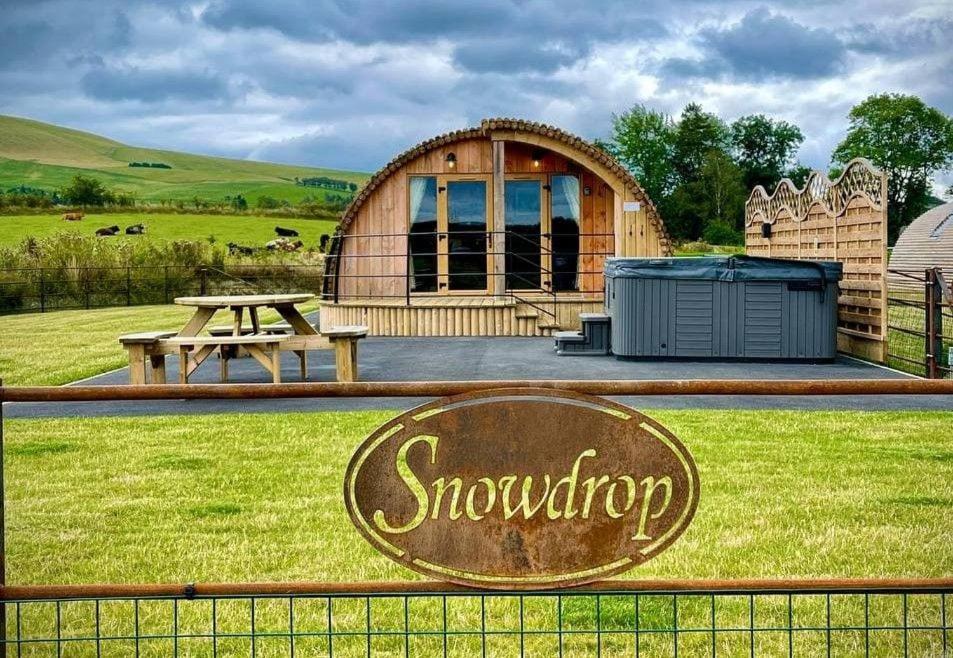Snowdrop, Rhayader (updated prices 2026)