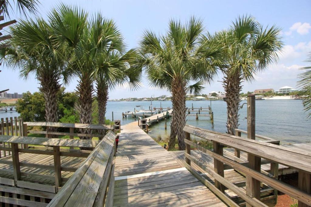 Needle Rush Point F12, Perdido Key (updated prices 2024)