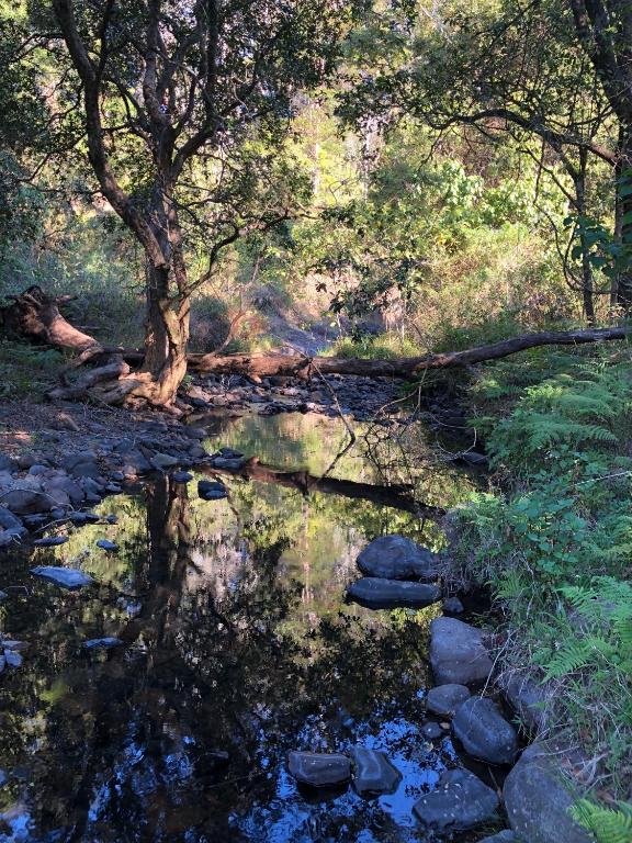 Selah Valley Estate, Limpinwood (updated prices 2025)