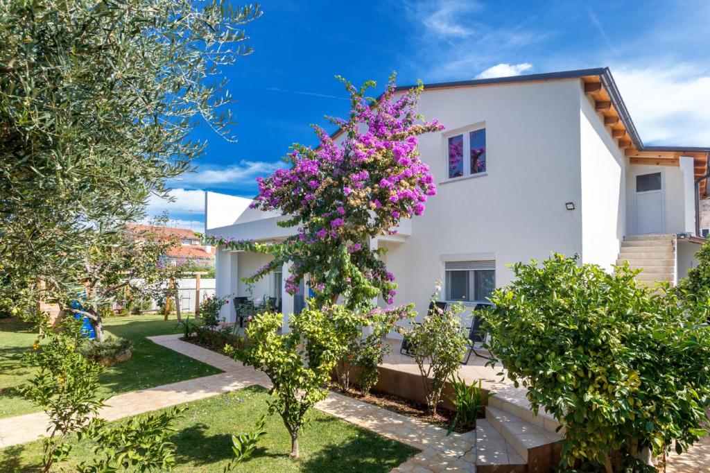 Davorka, Ližnjan (updated prices 2026)