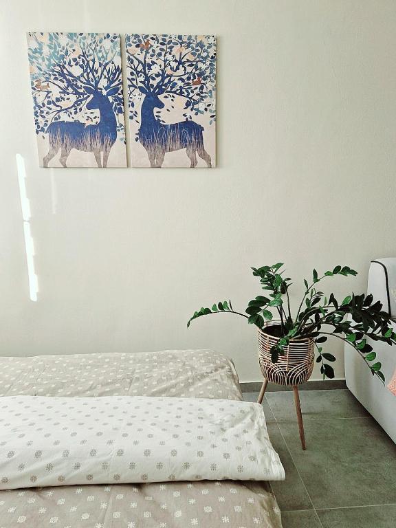 Oaza apartmani 2, Senta (updated prices 2025)