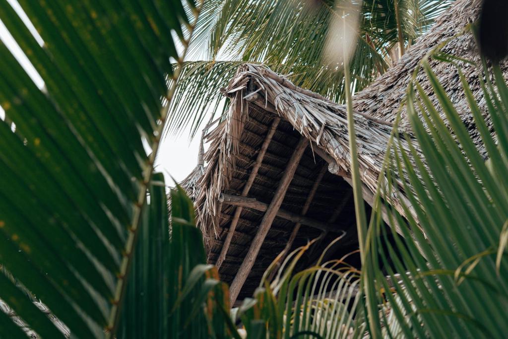 Sahari Zanzibar, Bwejuu (updated prices 2025)