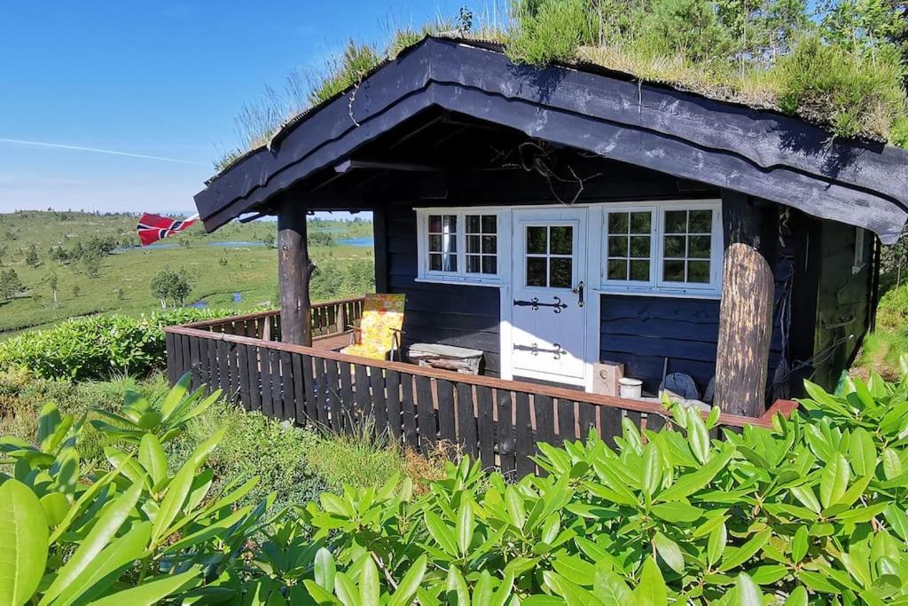 Casa de Férias Norwegian mountain cabin all alone in the wild (Noruega ...