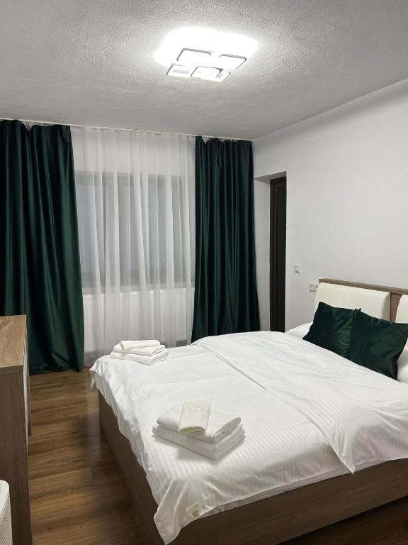 Vila AliBi Valiug - 200m from Ponton Casa Baraj, Văliug (precios ...