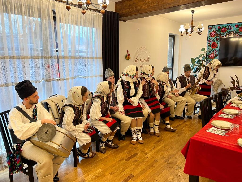 Гостевой дом Piatra Soimului (Румыния Вишеу-де-Сус) - Booking.com