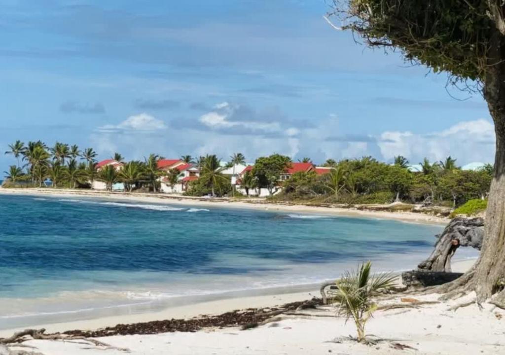 Crystal Beach Spacieux T3 De 75 M2 Rdc 2 Chambres Accès Direct à La Plage - Saint-François