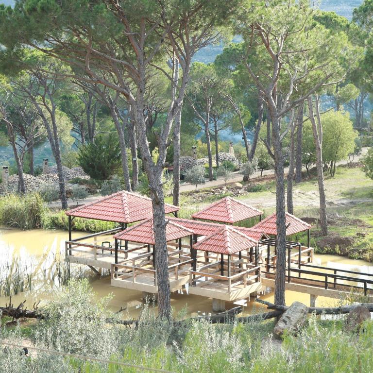 Pineland Hotel and Health Resort, Ḩammānā (updated prices 2025)