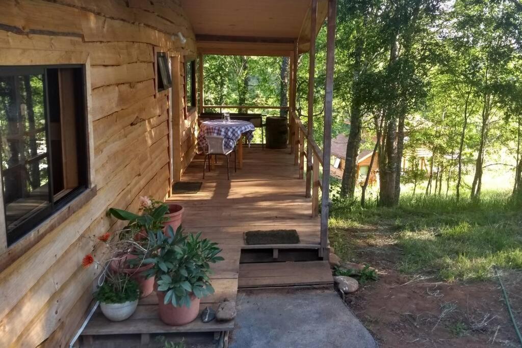 Cabaña entre Árboles Nativos y Río de fondo., La Unión (updated prices ...