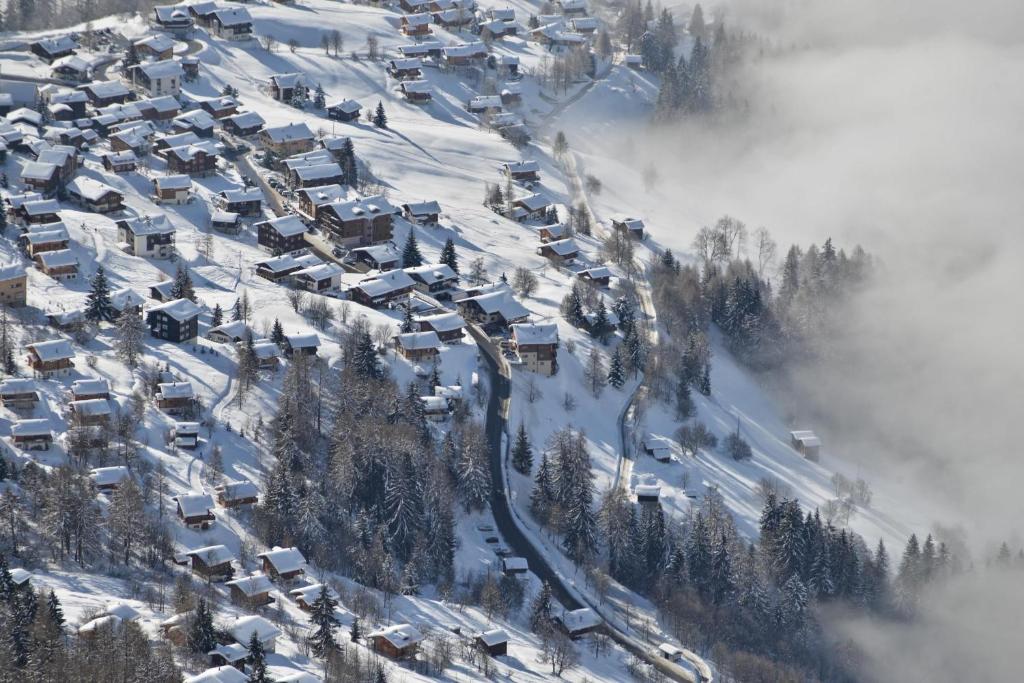 Hotel Bellwald, Bellwald (updated prices 2025)