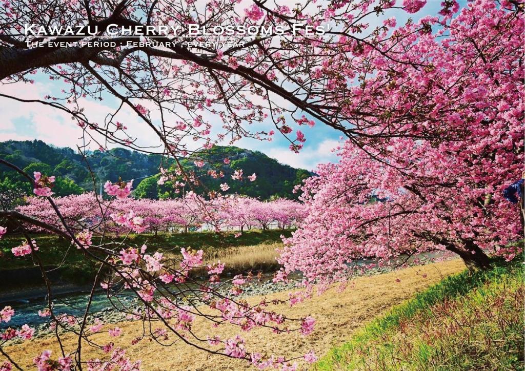 Tiny Base The River HOUSE & TRAILER, Kawazu (precios actualizados 2025)