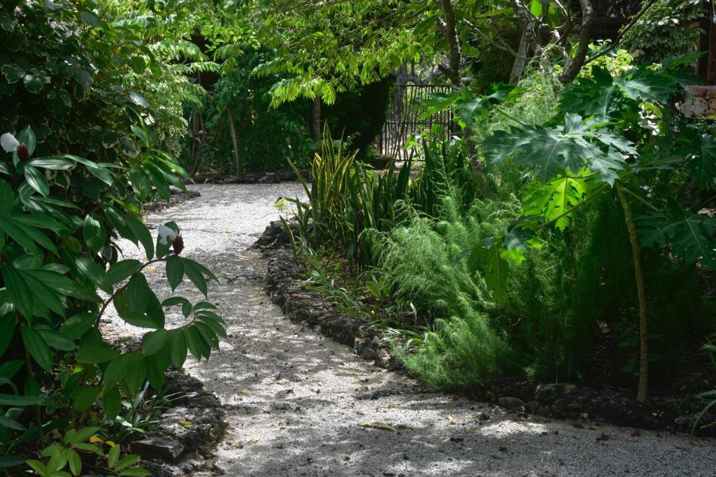 Lualemba Bungalow Resort, Nembrala (updated prices 2025)