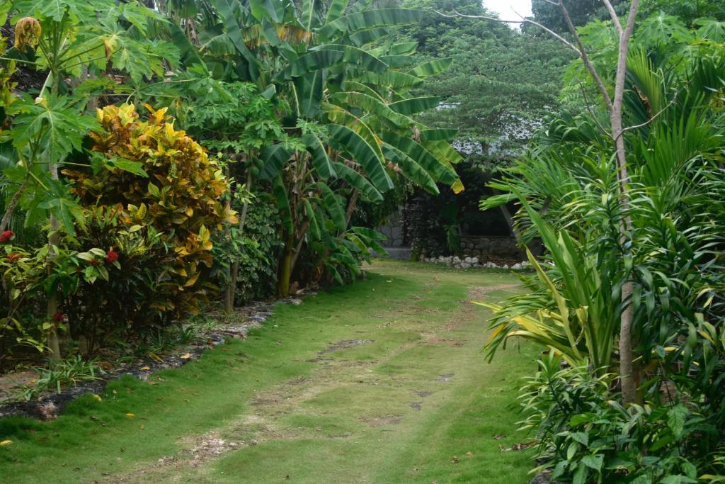 Lualemba Bungalow Resort, Nembrala (updated prices 2025)