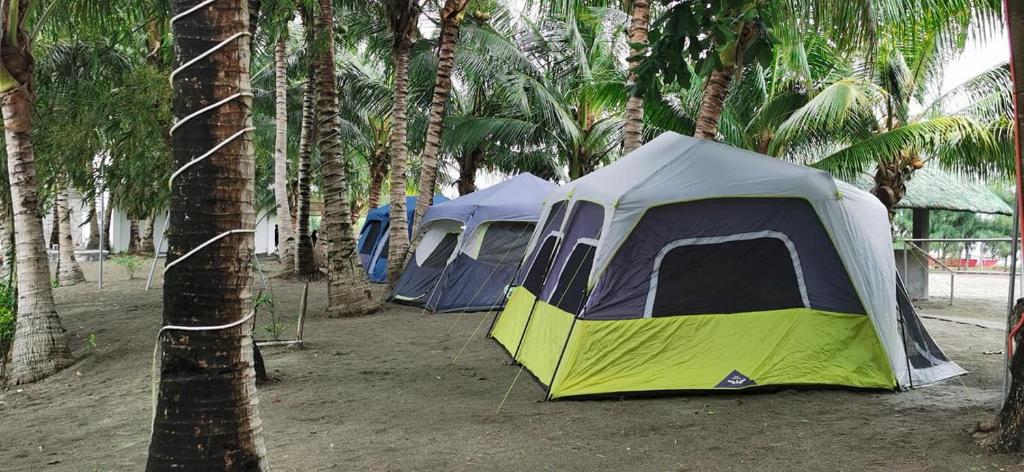 MAHALTA GLAMPING RESORT، Wasig – أحدث أسعار 2023