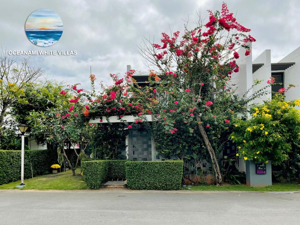 Villa in Oceanami Resort, Chợ Phước Hải (prezzi aggiornati per il 2024)